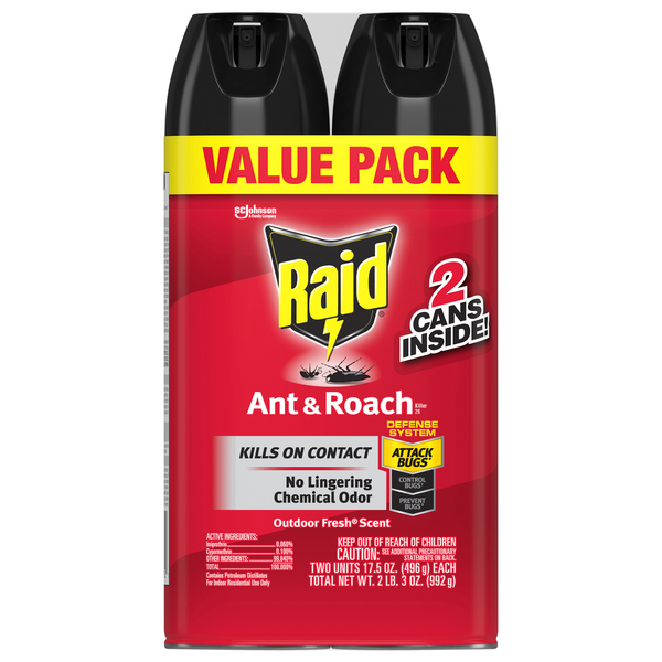 Save on Raid Ant & Roach Killer Outdoor Fresh Scent Aerosol Spray - 2 ...