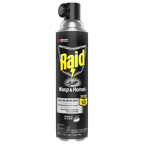 Save on Raid Wasp & Hornet Spray Order Online Delivery | Giant