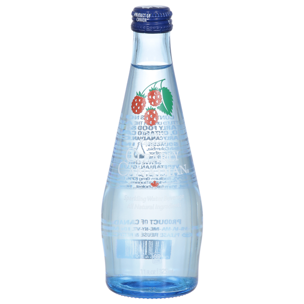 Flavored Sparkling Water & Seltzer - Order Online & Save | Food Lion