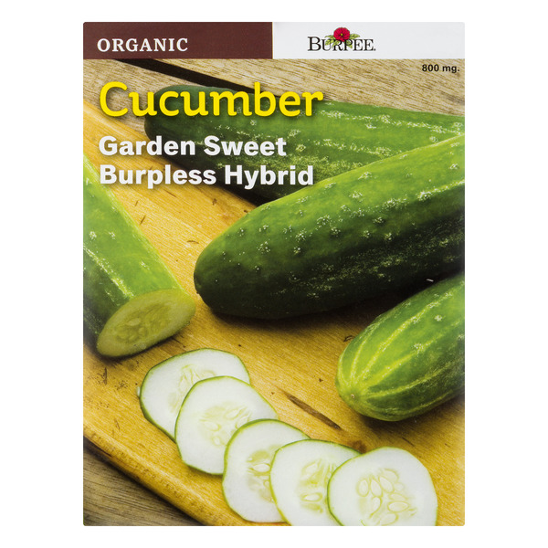 Save on Burpee Vegetable Cucumber Garden Sweet Burpless Hybrid Organic ...