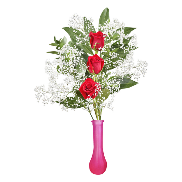 Save on Long Stem Red Roses in Vase Order Online Delivery | GIANT