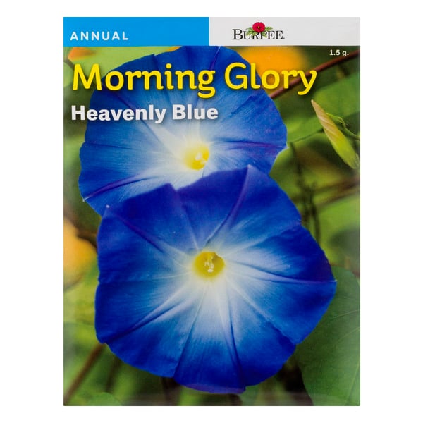 Save on Burpee Annual Morning Glory Heavenly Blue Order Online Delivery ...
