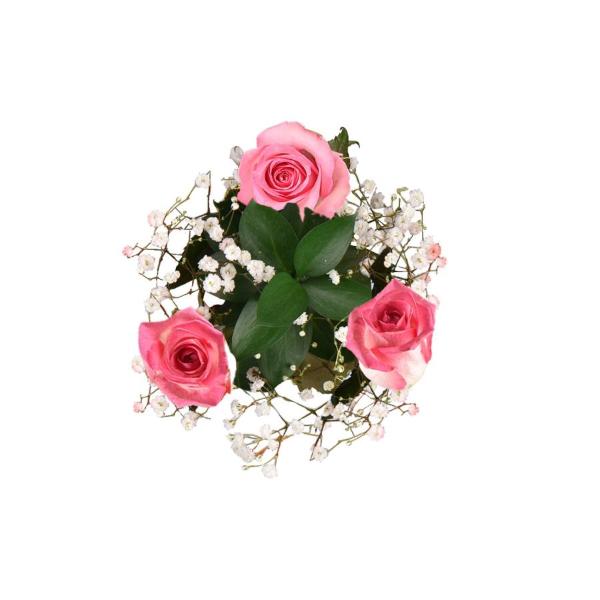 Bouquets & Flowers - Order Online & Save | Food Lion