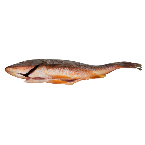 Save on Giant Wild Snapper Fillet Fresh Order Online Delivery | Giant