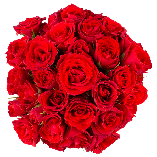 Save on Red Spray Roses Order Online Delivery | MARTIN'S
