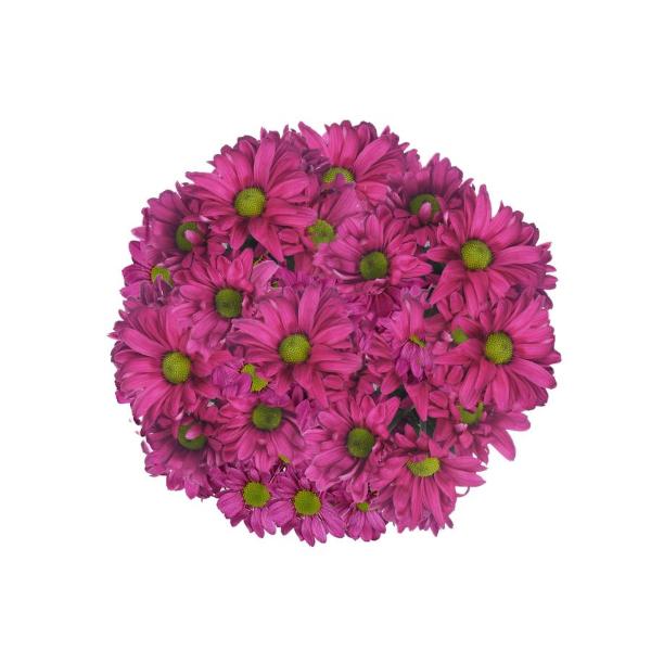 Flowers & Bouquets - Order Online & Save | Food Lion