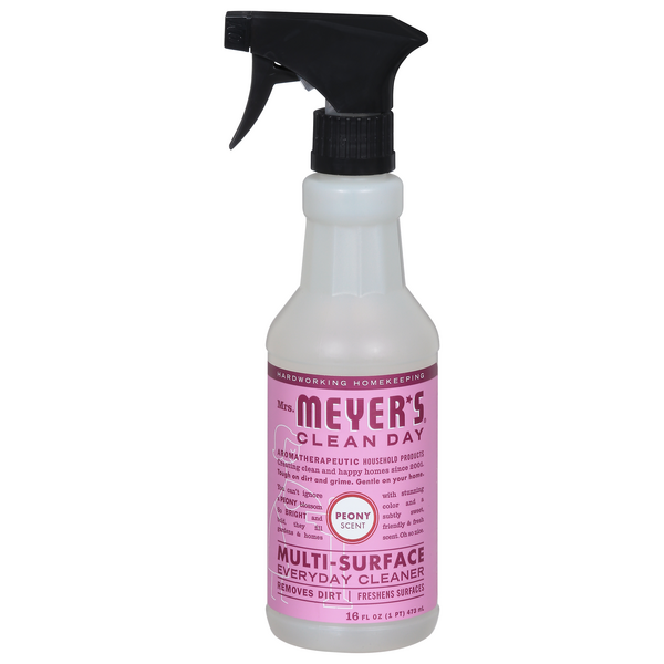 Meyers cleaners store