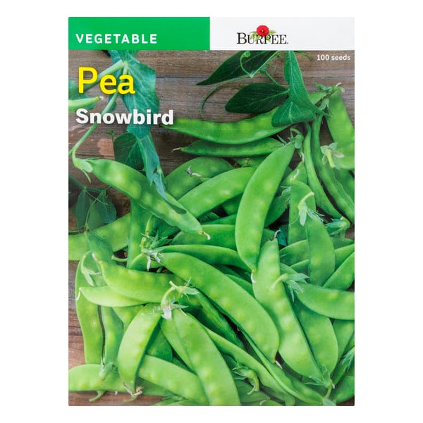 Save on Burpee Vegetable Pea Snowbird Order Online Delivery | Food Lion