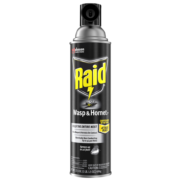Save on Raid Wasp & Hornet Spray Order Online Delivery | Stop & Shop